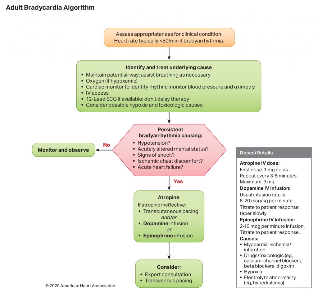 Advanced Cardiac Life Support Algorithm – Everything you MUST know ...